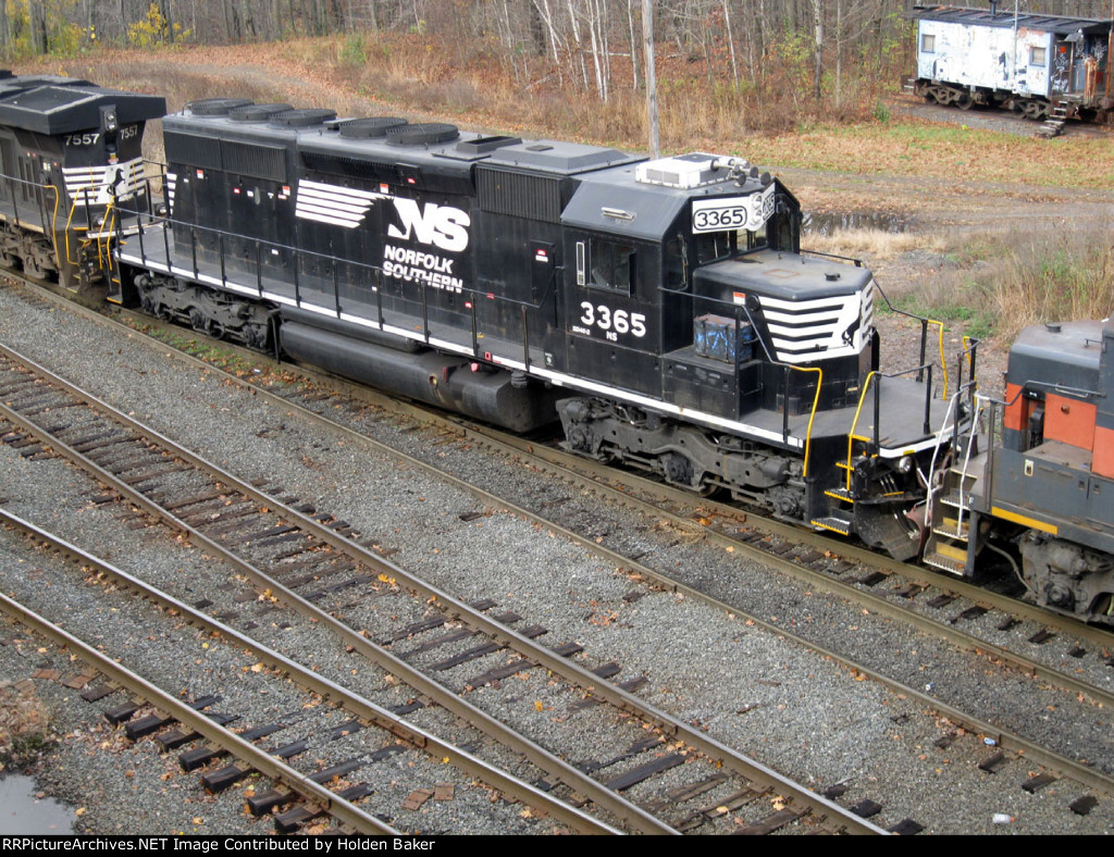 NS 3365